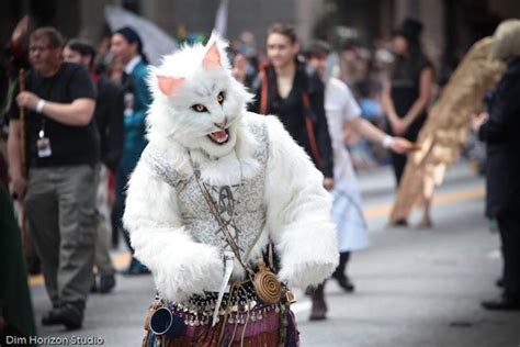 Luna Cat Atcsforall Forums