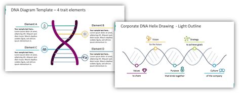 How To Draw Dna In Powerpoint Dna Structure Powerpoint Ashtyn Klocko