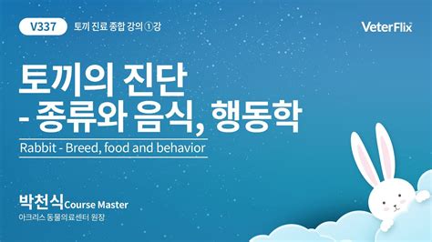 베터플릭스 토끼 종합 진단 과정 토끼의 종류와 음식 행동학rabbit Breedfood And Behavior