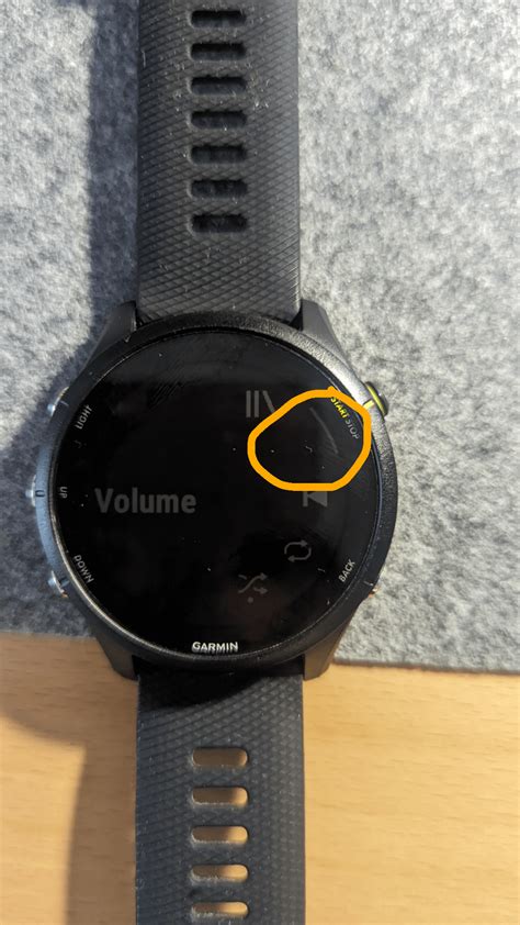 Invisible Music Menu Indicator Rgarminwatches