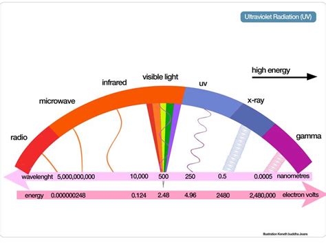 Ultrasviolet Radiation UV Graphics Visible Light Radiation Ultraviolet Radiation