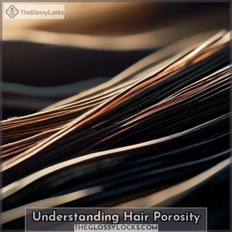 Hair Porosity Unlock The Secrets Of Your Hairs Absorption Ability