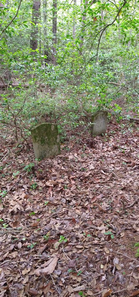 William Thomas Gragg Em Globe North Carolina Cemitério Find A Grave