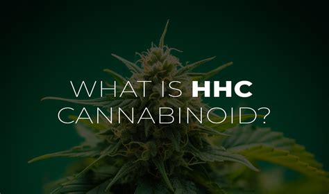 What Is Hhc Cannabinoid Cloud Theorem Education