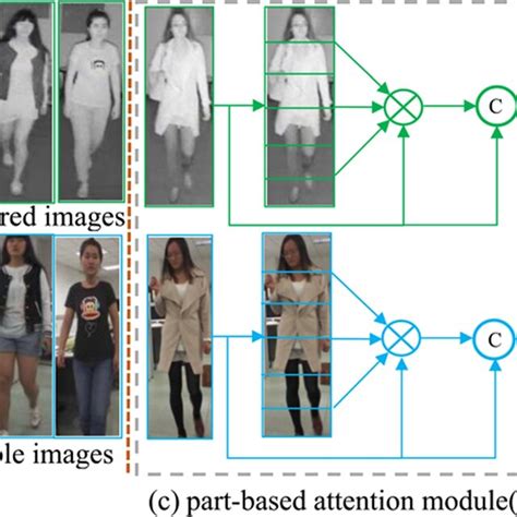 Idea Illustration A Infrared Modality Person Images From Different Download Scientific