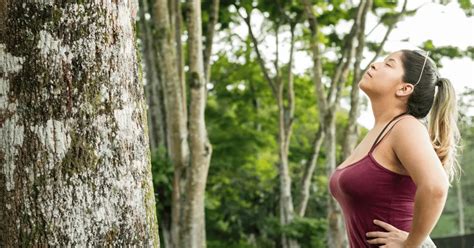 Natures Air Purifiers 5 Trees With The Highest Oxygen Output