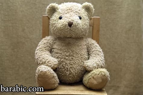 أسماء دمية دب مضحكة ولطيفة بالعربي