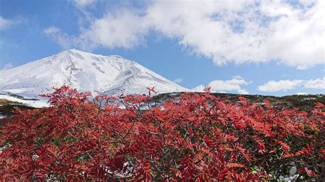 紅葉と雪絶景の大雪山旭岳 Daisetsuzan Asahidake Ropeway