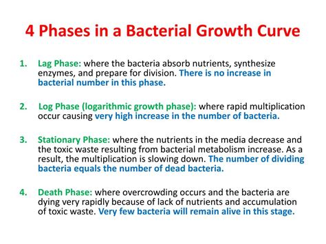 Growth Curve Or Microbial Growth Phases Youtube