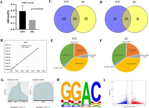 Profile Of M⁶a Modifications In Patients With Acute Ich And Hcs A Download Scientific Diagram