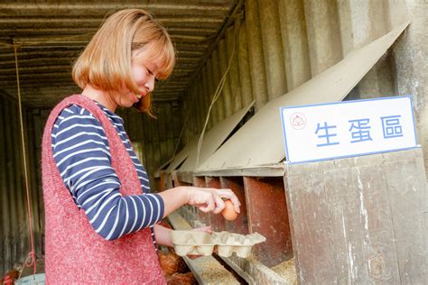 【台中農場】福壽生態農場，福壽生態牧草蛋、寵物食品、穀類食品等等多樣食品生產 陳小可的吃喝玩樂