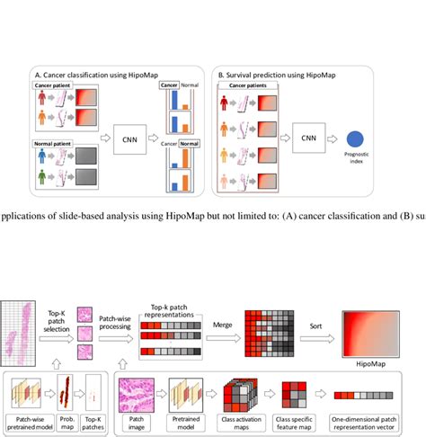 A Patch Wise And B Slide Based Histopathological Analyses