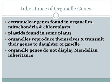 The Chromosomal Basis Of Inheritance Ppt Download
