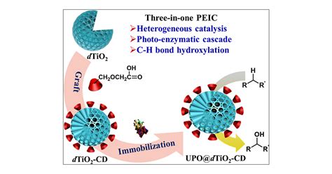 Immobilization Of Enzymes On Cyclodextrin Anchored Dehiscent Mesoporous Tio2 For Efficient