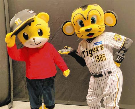 阪神の人気者「トラッキー」と「しまじろう」が初コラボ 17日に大阪でコンサート：中日スポーツ・東京中日スポーツ