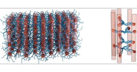Interpenetrated And Bridged Nanocylinders From Self Assembled Star