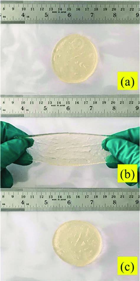 Photograph Of Bacterial Cellulose Based Hydrogel Composite A Original Download Scientific
