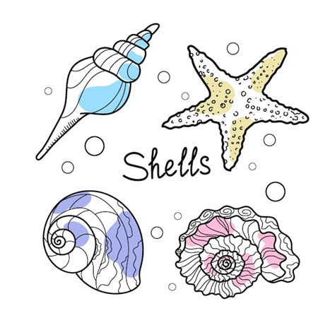 Desenho Vetorial De Diferentes Conchas Do Mar Desenhadas Por Uma Linha E Cor Em Um Fundo Branco