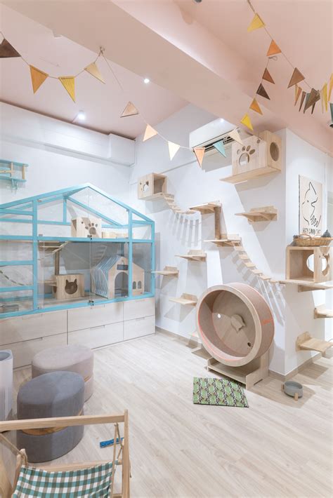 18 Amazing Cat Room Designs For Your Inspiration Artofit