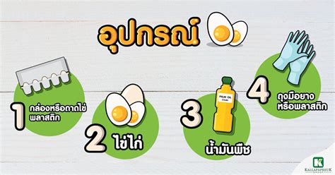 เก็บไข่ที่บ้าน ยังไงให้อยู่ได้นาน Kallapapreuk Group