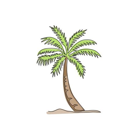 Premium Vector Single Continuous Line Drawing Coco Nucifera Coconut