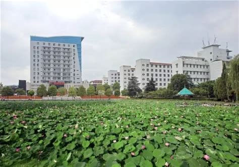 宜春大学 宜春 宜春九中 第3页 大山谷图库