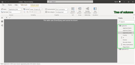 Power Bi Bigquery Connection Step By Step In Coupler Io Blog