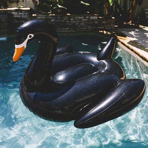 Black Swan Quality Affordable Inflatable Blow Up Pool Float Floatie