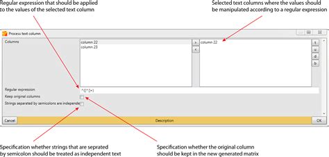 Process Text Column