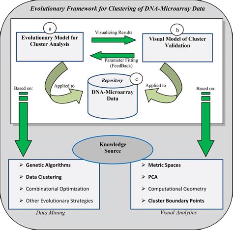 Evolutionary And Visual Framework For Cluster Analysis Of Dna