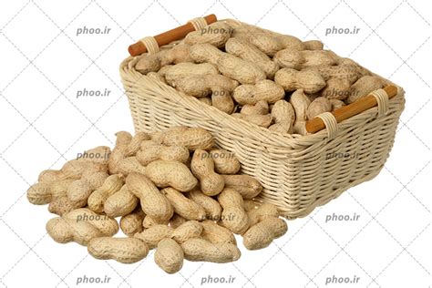 عکس با کیفیت بادام زمینی هایی داخل سبد و روی زمین در پس زمینه سفید