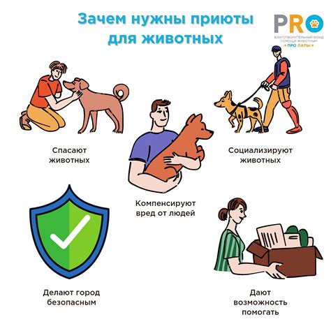 Зачем нужны приюты для бездомных животных🤔 Фонд ПРО ЛАПЫ Дзен