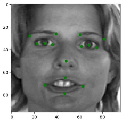Facial Landmark Detection