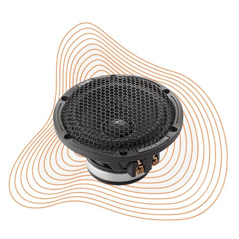 Lfr80 Speaker Blam Audio