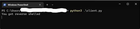 GitHub Chase1k ReverseShell