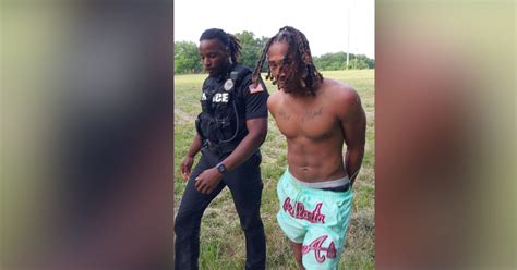 Man Rams Police Car During Chase Captured After Hiding In Woods