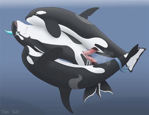 Rule 34 2010 Anal Anal Sex Anthro Anus Cetacean Countershading Cum Cum In Ass Cum Inside