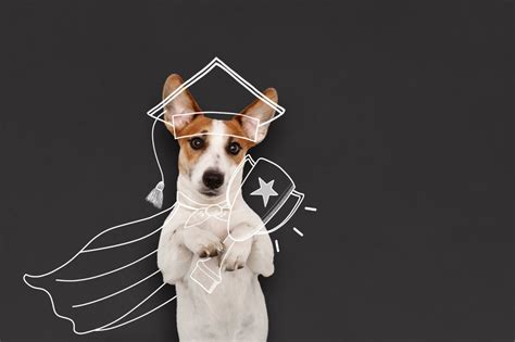 Material Educativo Para Maestros 9 Webs Con Las Que Sueñas Voca