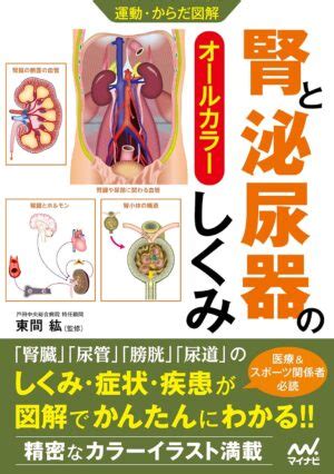 運動からだ図解 腎と泌尿器のしくみ ヴュー企画
