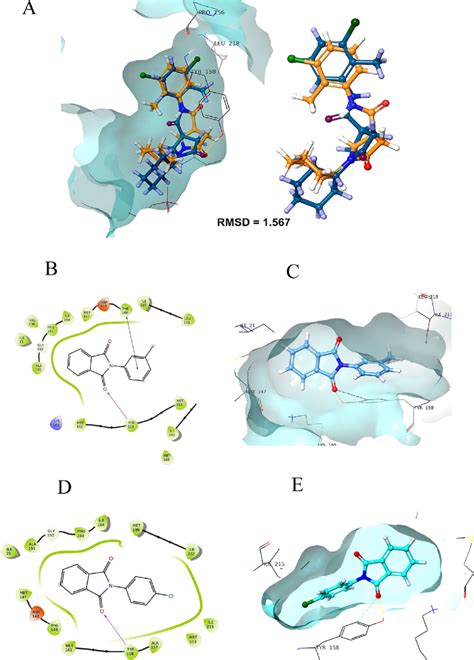 A Docking Validation B C Binding Pose Of Compound 5 With Inha