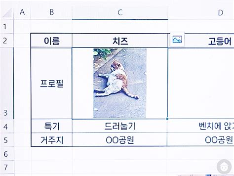 엑셀 이미지 셀에 배치하기 그림 정렬 및 크기 조정 꿀팁 네이버 블로그 엑셀 이미지 셀에 배치하기 그림 정렬 및 크기 조정 꿀팁 네이버 블로그