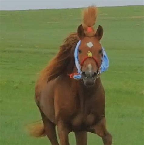 Khurelbaatar Enkhtuya Khurlee