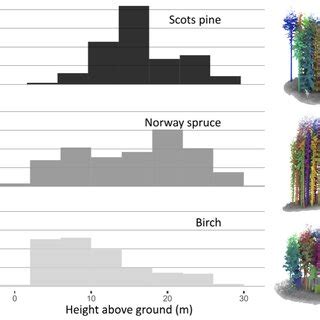 Schematic Representation Of The Adopted Workflow A Set Of Input Files Download Scientific