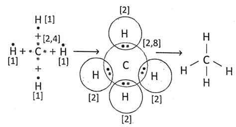 For Class 10 Physical Science And Environment Physical And Chemical Properties Of Elements Ionic