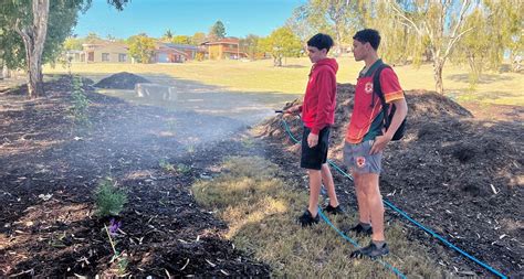 Native Bush Tucker Garden In South Grafton Mirage News