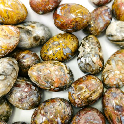 Tumbled Stromatolite