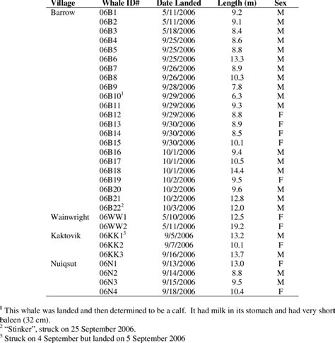 Village Whale Identification Number Date Landed Length Meters And Download Table