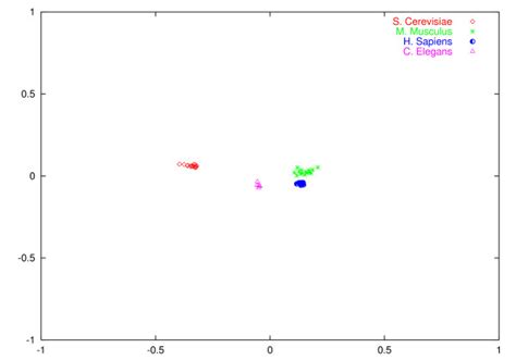 Clustering Of All Chromosomes From S Cerevisiae M Musculus H Download Scientific Diagram