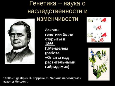 Изучение механизма наследственности презентация онлайн