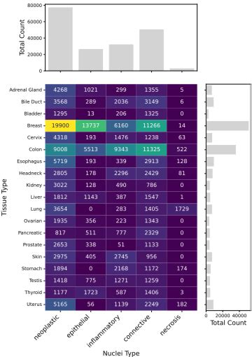 论文审查 Cell Nuclei Detection And Classification In Whole Slide Images With Transformers